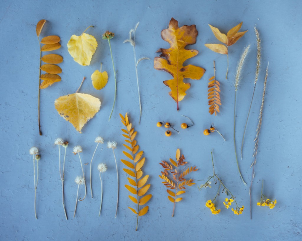 Emily Blincoe Photography – Fubiz Media