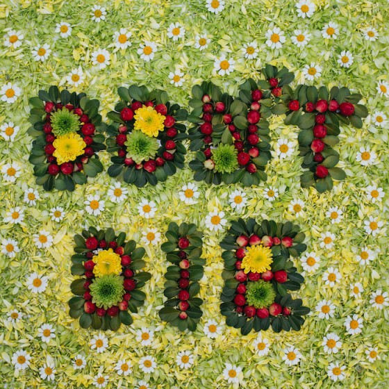 Emily Blincoe Photography – Fubiz Media