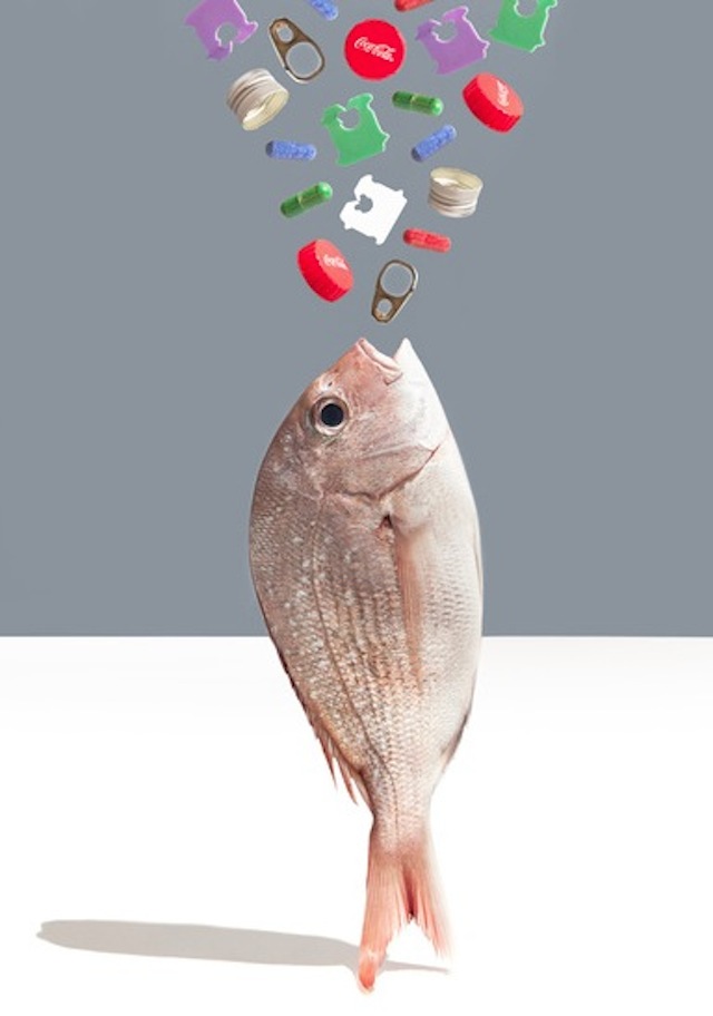 Conceptual Food Stills 2 Fubiz Media conceptual-food-stills-2-fubiz-media