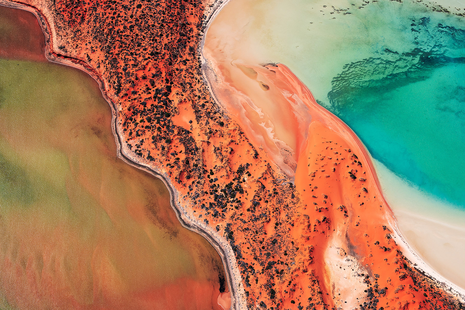 Shark Bay Fubiz Media Shark Bay Fubiz Media