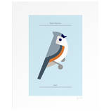 Print Collection by Josh Brill – Fubiz Media