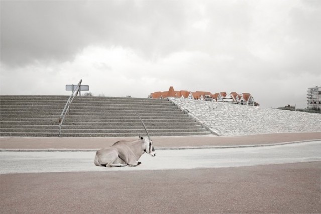 Alex Profit – Fubiz Media