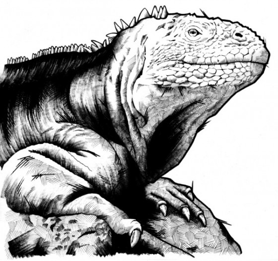 Andreas Preis – Fubiz Media