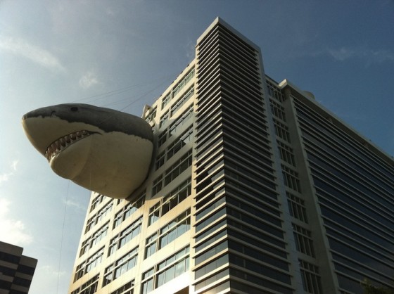 Discovery Channel – Shark Building – Fubiz Media