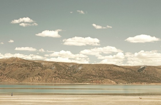 Peter Andrew Photography – Fubiz Media