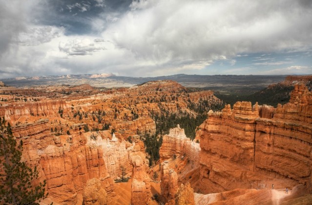 Peter Andrew Photography – Fubiz Media