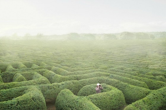 Peter Andrew Photography – Fubiz Media