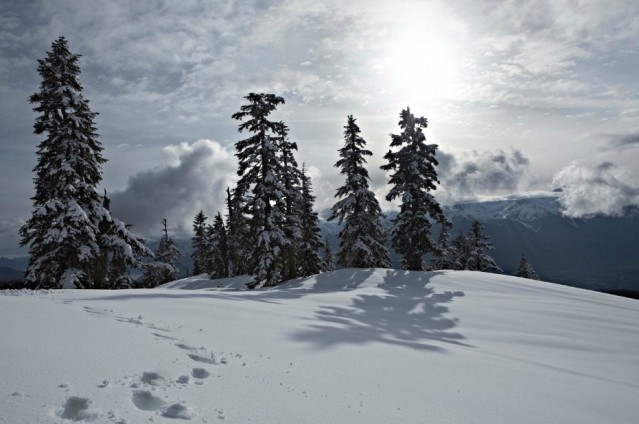 Peter Andrew Photography – Fubiz Media