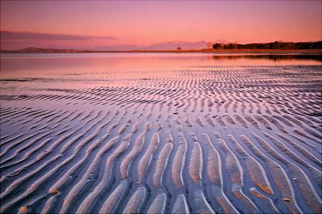 Mary Kay Photography – Fubiz Media