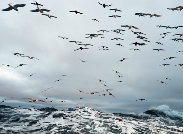 Corey Arnold – Fubiz Media