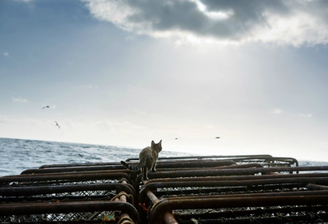 Corey Arnold – Fubiz Media