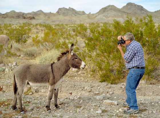 Corey Arnold – Fubiz Media