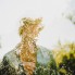 Jon Duenas Photography – Fubiz Media