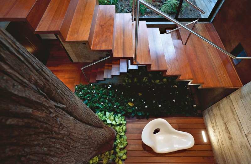 Tree Corallo House – Fubiz Media