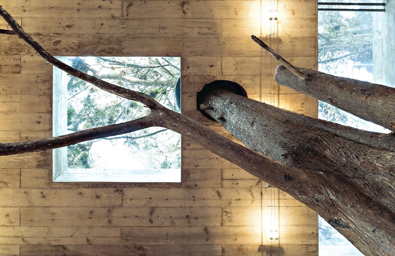 Tree Corallo House – Fubiz Media
