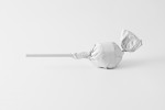 Branded Objects in White – Fubiz Media