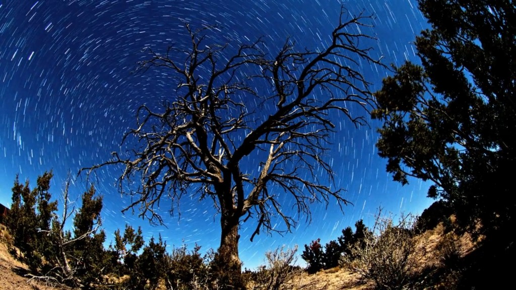 Open Horizon – Fubiz Media