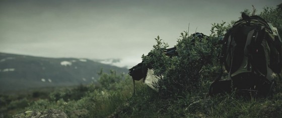 A Walk in Nature – Fubiz Media