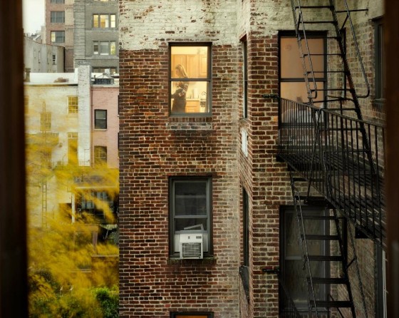 Out My Window – Fubiz Media