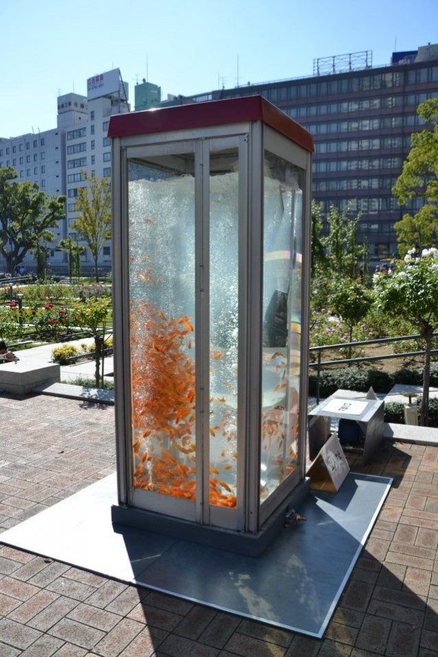 Fish Tank Phone – Fubiz Media
