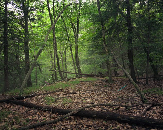 Nature Scientific Interpretation – Fubiz Media