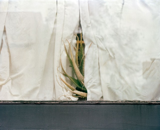 Bridget Collins Photography – Fubiz Media