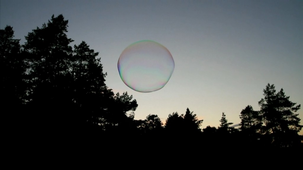 Illusive Creatures – Fubiz Media