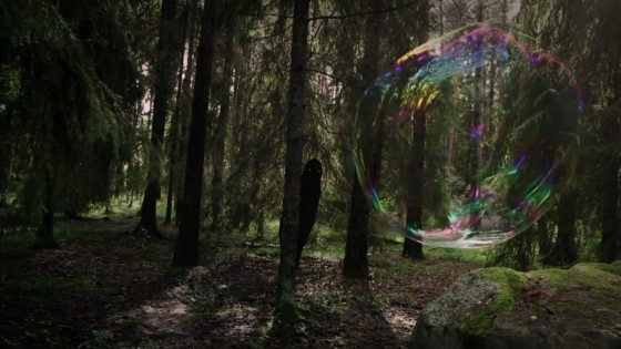 Illusive Creatures – Fubiz Media