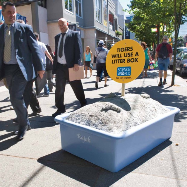 Science World Campaign – Fubiz Media