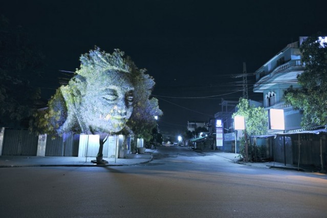 Projection Mapping on Trees – Fubiz Media