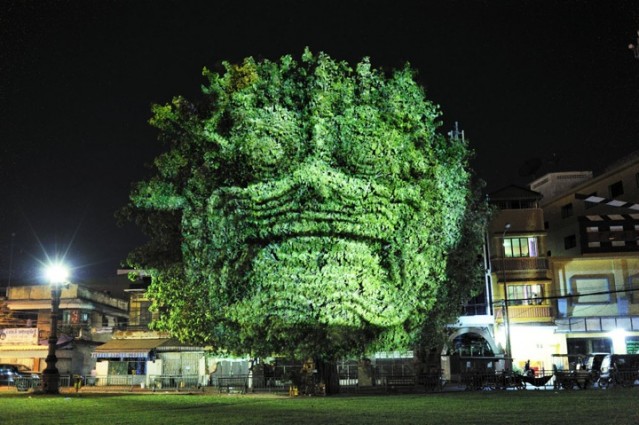 Projection Mapping on Trees – Fubiz Media