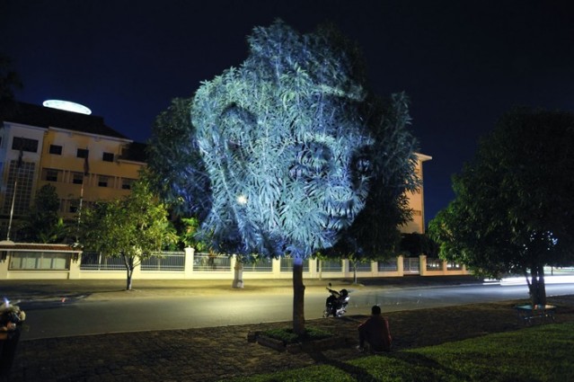 Projection Mapping on Trees – Fubiz Media