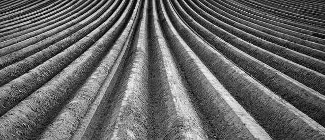 Field Photography – Fubiz Media