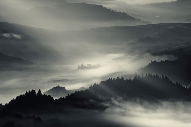 Fog Landscapes – Fubiz Media