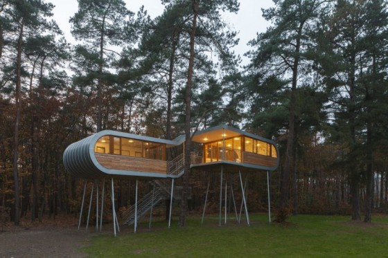 Tree House Architecture – Fubiz Media