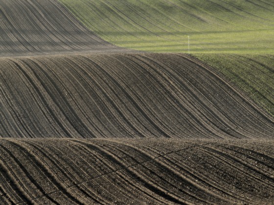 Field Photography – Fubiz Media