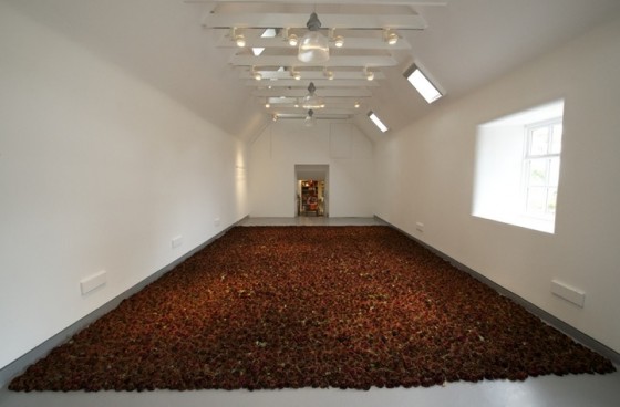 Life and Death of 10 000 Roses – Fubiz Media