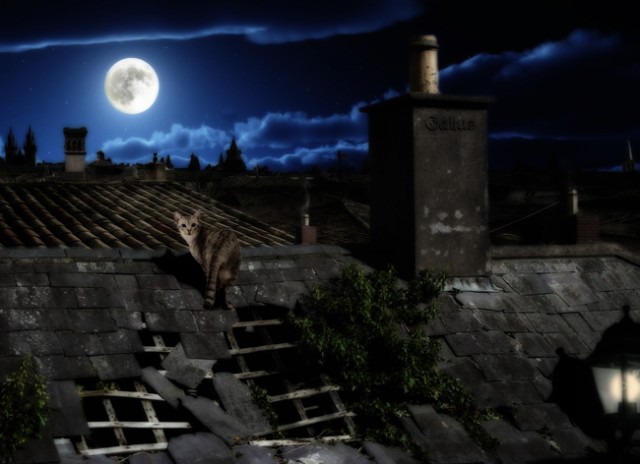 Photo manipulation of real objects that become a composition similar to ...