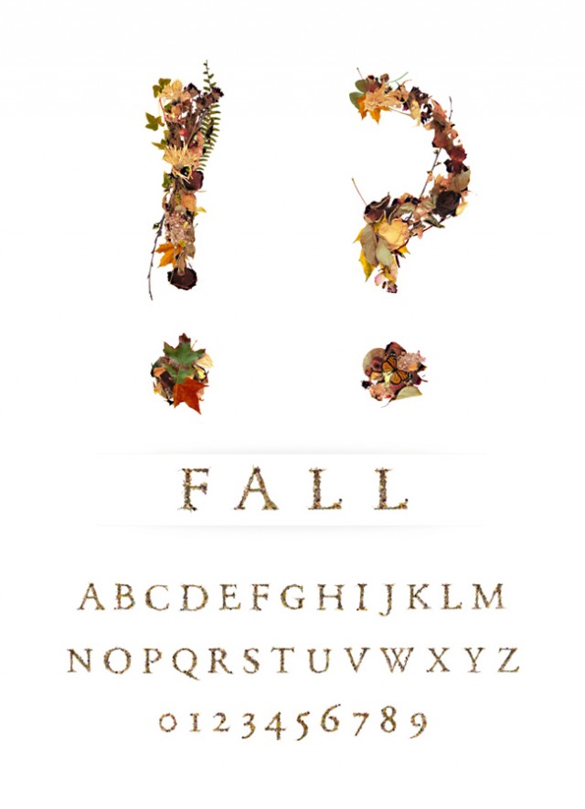 Novo Typo One year! – Fubiz Media