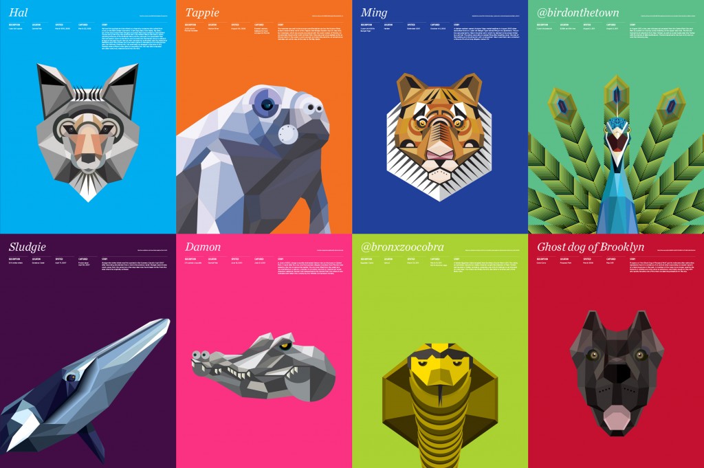 Animal Infographic – Fubiz Media