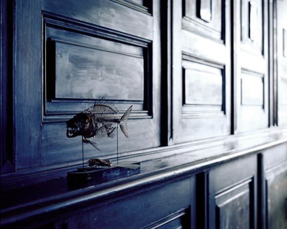 Skeletons Series – Fubiz Media