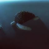 Caldera Animation – Fubiz Media