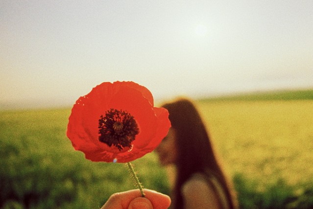 Jovan Todorovic Photography – Fubiz Media