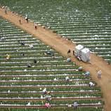 Kite Aerial Photography – Fubiz Media