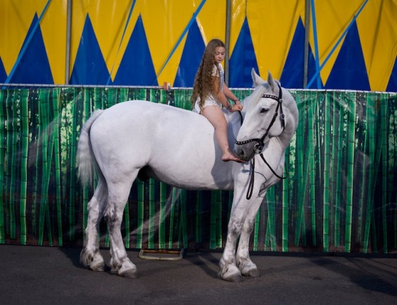 Amelia and Animal Affinity – Fubiz Media