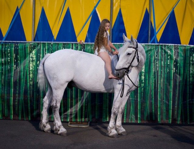 Amelia and Animal Affinity – Fubiz Media