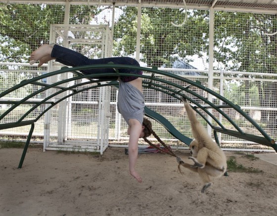 Amelia and Animal Affinity – Fubiz Media