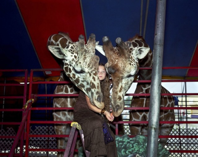 Amelia and Animal Affinity – Fubiz Media