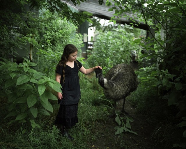 Amelia and Animal Affinity – Fubiz Media