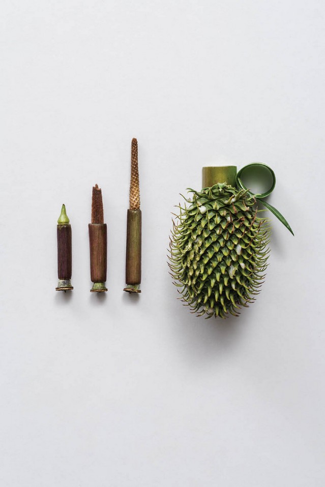 Weapons Made of Plants – Fubiz Media